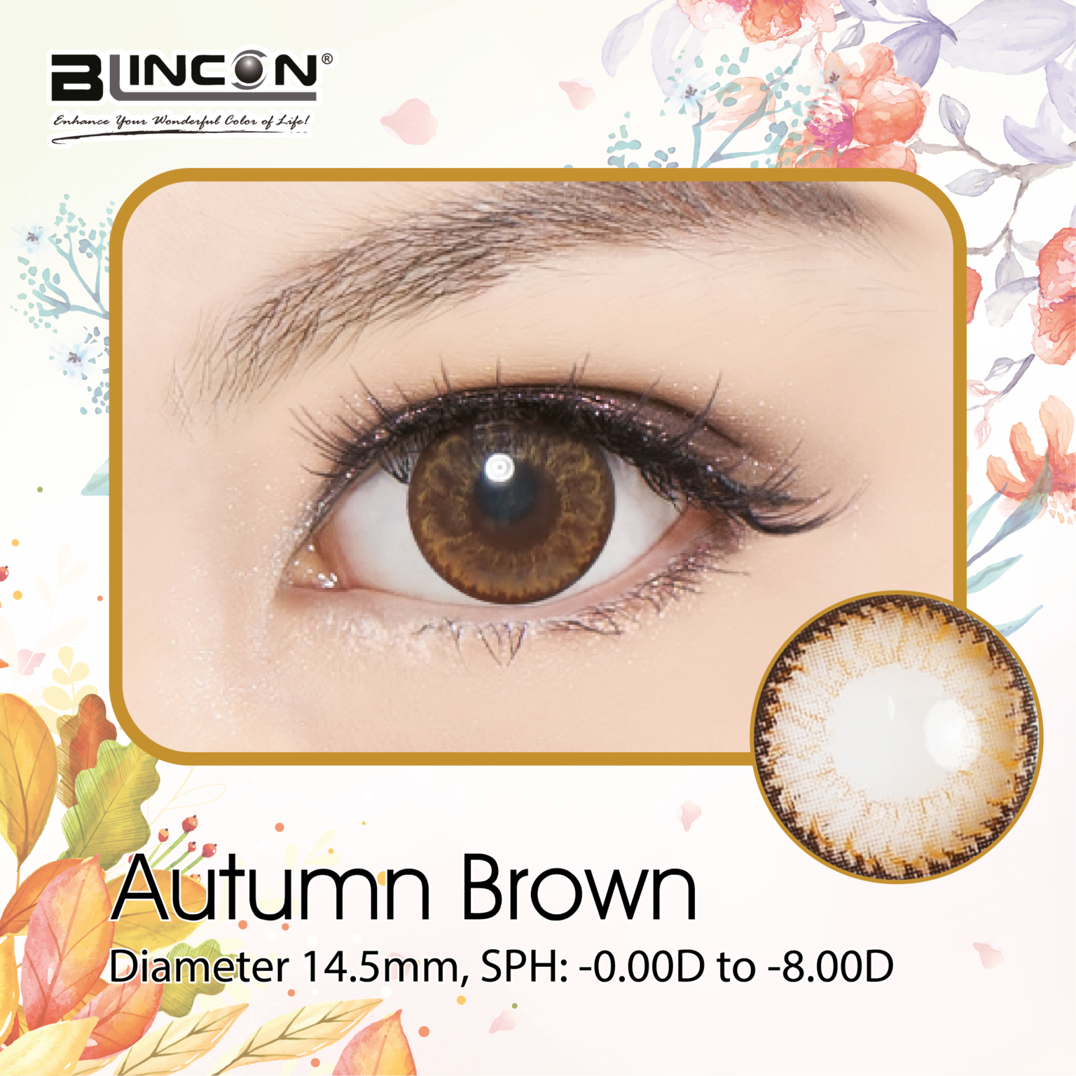 BLINCON - DD SERIES (3 months) (BUY 2 FREE 1) - Optixworld Eyecare Centre